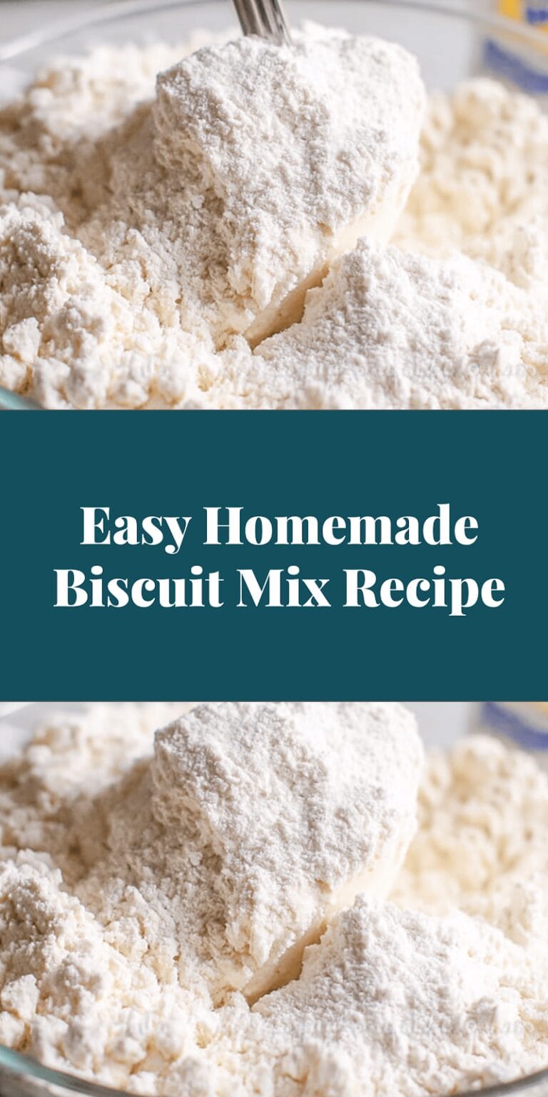 Easy Homemade Biscuit Mix Recipe - delicedcook.com